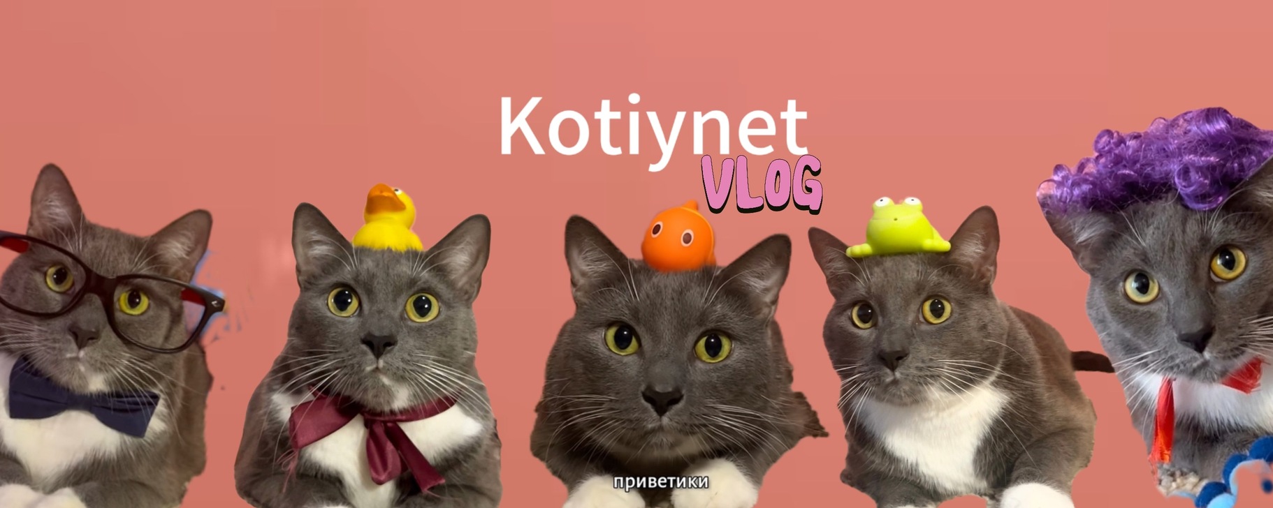 kotiynet VLOG 2025 | ВКонтакте